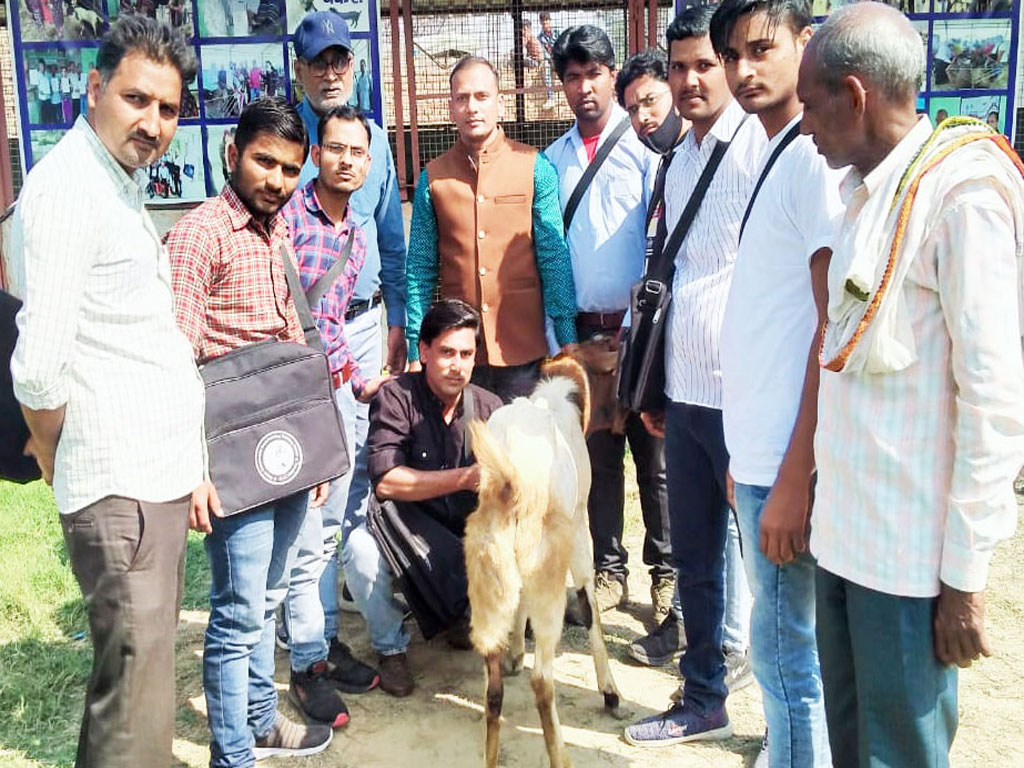 BEST GOAT TRANINING IN UTTAR PRADESH, BAKRI PALAN TRAINING, GOAT ...